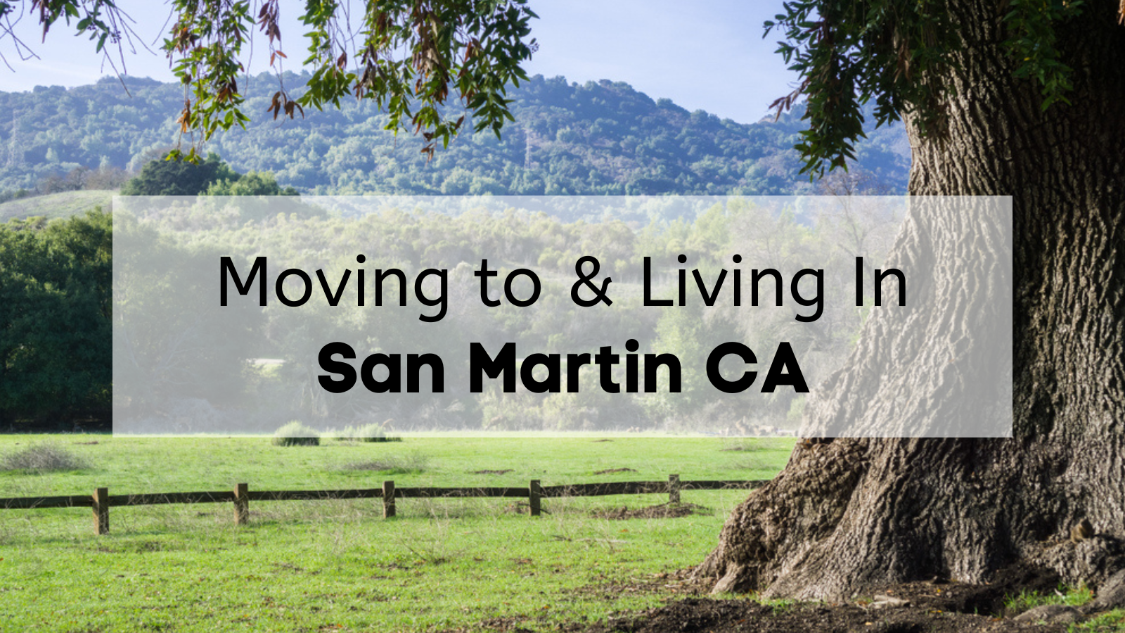 What’s It Like Living in San Martin CA? 🌞 Explore More With Our Moving ...