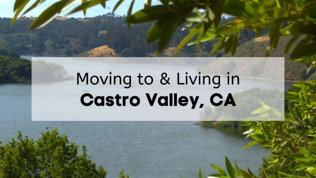 Living in Castro Valley CA Tips☀️ | What to Know Before Moving to ...